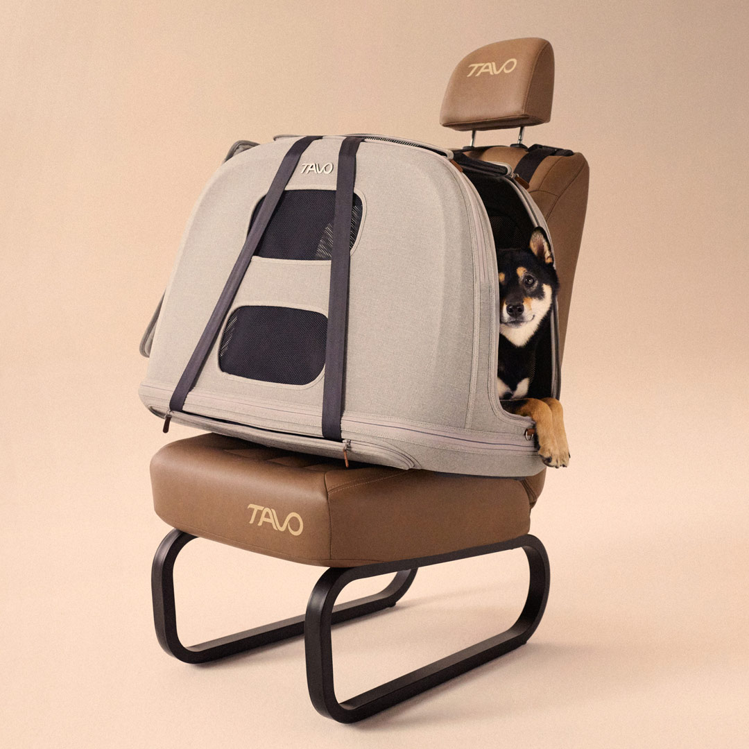 【楽天市場】【犬 カート】TAVO Crispin クリスピン ドッグ シート ペット 車 固定 おしゃれ ペットカー シンプル たぼ タボ 高級 いぬ カーアクセサリー チャイルドシート ...