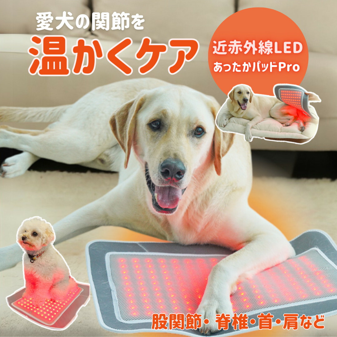 【楽天市場】Cirius シリアス ペット用 近赤外線LEDあったかパッドPro 犬 猫 ペット ヘルニア 温熱療法 温熱ケア 温熱シート 治療 生活防水 丈夫な耐久性 3段階温度 タイマー ...