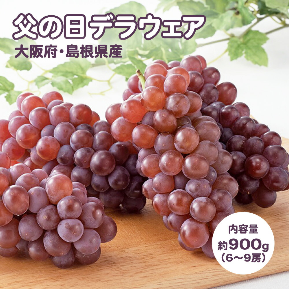 【楽天市場】父の日 ギフト 大阪 島根 デラウェア 900g 6~9房入 ぶどう ブドウ 葡萄 特別 メッセージカード付 プレゼント 贈答 お ...