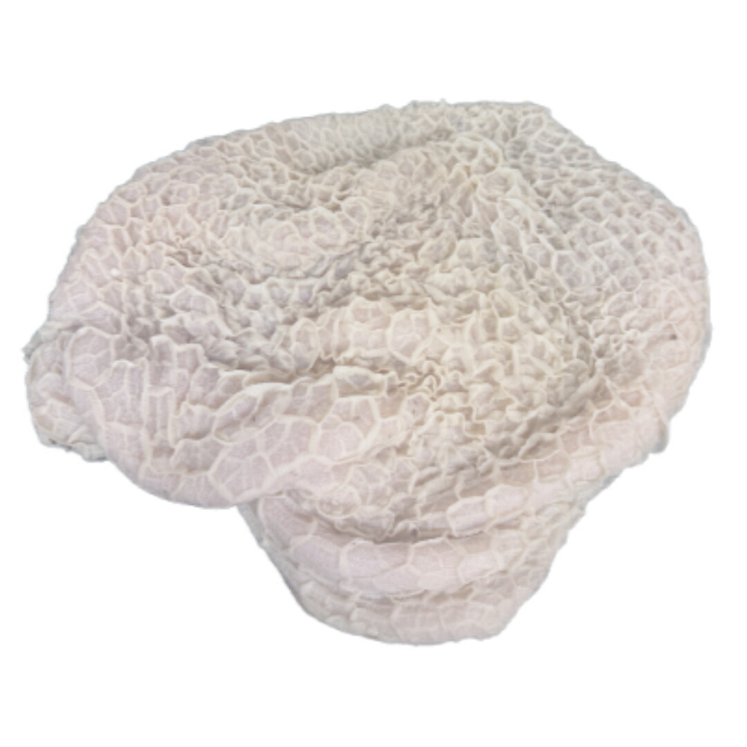 【楽天市場】和牛白ハチノス ハニカム 国産和牛ホルモン WAGYU BEEF HONEYCOMB TRIPE TUWALYA NG BAKA ...