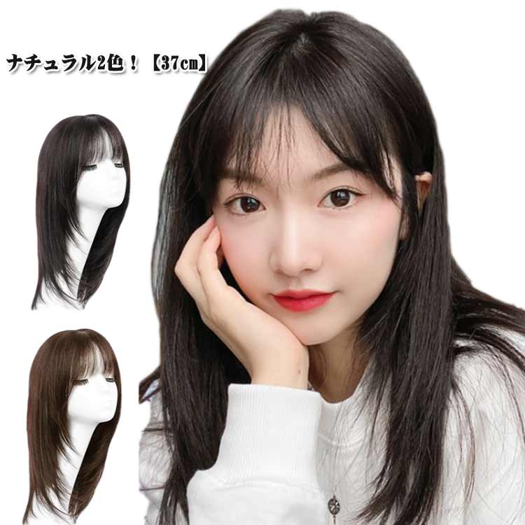楽天市場】人毛100% フルウィッグ ミディアム 自然黒 自然茶 フル