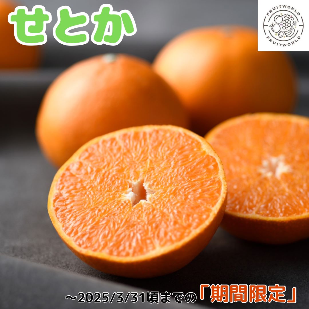 【楽天市場】贈答用 せとか 2.4kg 9～12個 2L 3L 愛媛県産 えひめ 柑橘 ジューシー 6000 6000円 6000円ギフト お返し 御祝 ギフト 贈り物 フルーツギフト ...