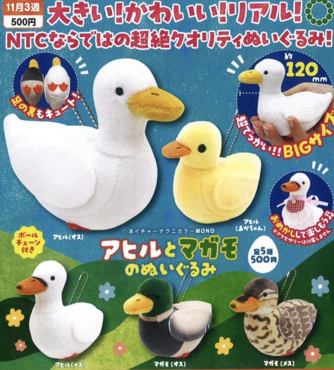 【楽天市場】NTC MONO アヒルとマガモのぬいぐるみ 全5種セット【フルコンプリート/2025年11月発売予定】：ガチャガチャ侍