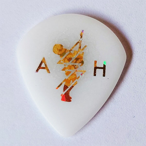 【楽天市場】【メール便可】MASTER 8 ピック AssH ASSH-150 アーティストピック：楽器の森