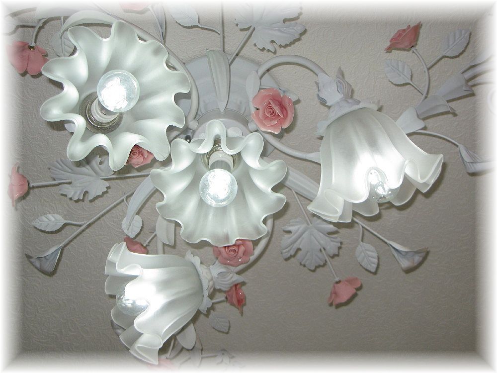 What Is The Purpose Of Ceiling Rose | Shelly Lighting