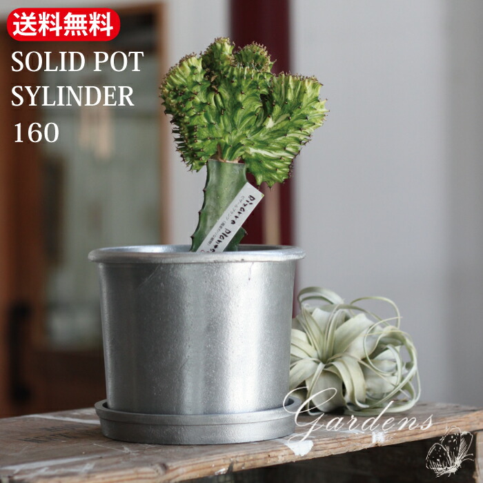 【楽天市場】【1日限定★エントリーで＋P10倍＆MAX10％クーポン】SOLID POT SYLINDER 160 ガーデン 雑貨 シック ...