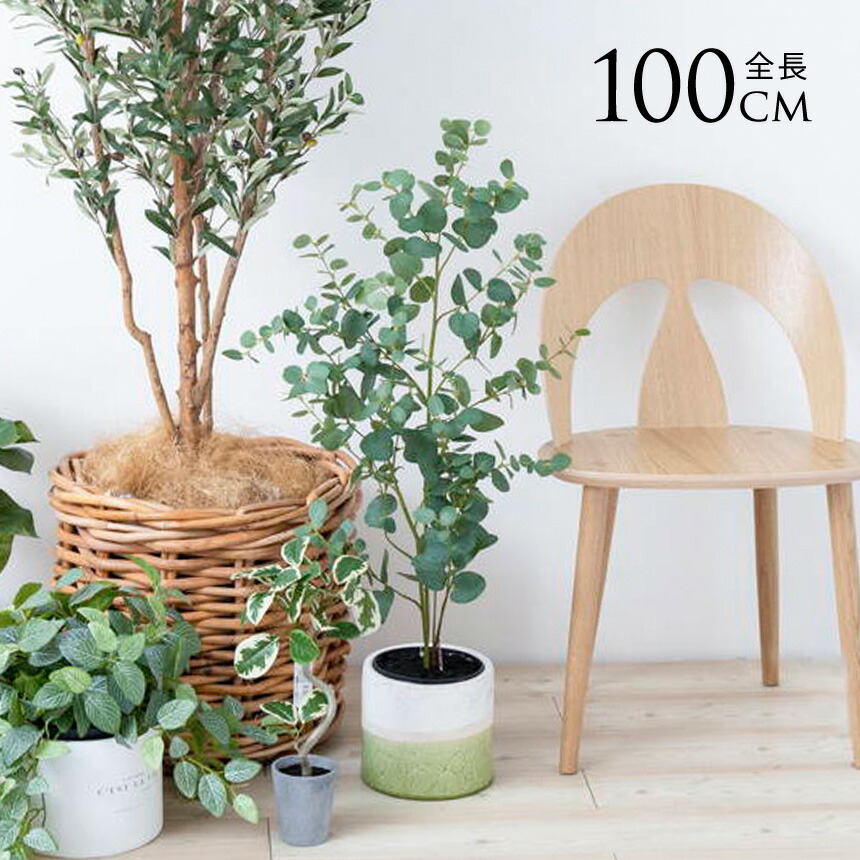 【楽天市場】フェイクグリーン 鉢植え 観葉植物 鉢付き ポット ユーカリ ツリーポット 高さ100cm 人工観葉植物 大型 リアル おしゃれ ...