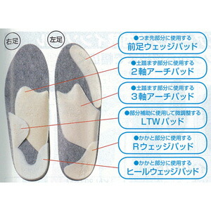 【楽天市場】身体用パッド DSIS Rウェッジ パッド M3：NO1元気爽快