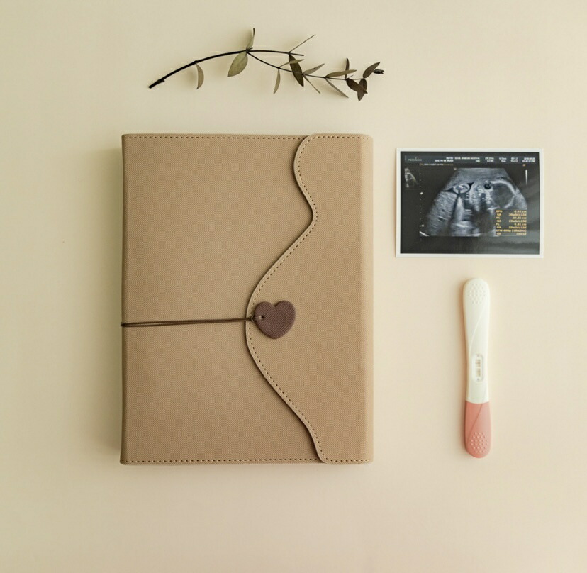 giyomi】 ぎよみ eco album set (new) エコーアルバムセット(new) エコーアルバム エコー写真アルバム エコー写真 ...