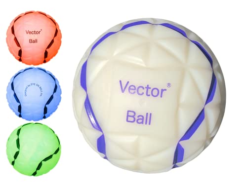 【楽天市場】Vector Ball＋ ベクターボール プラス 反応速度 集中力 敏捷性の向上 全てのスポーツ向け ビジョントレーニング ツール：GLOBAL SPADE 楽天市場店