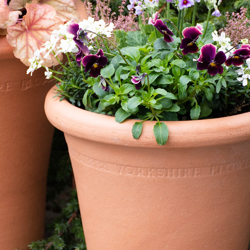 【楽天市場】Flowerpot Mini フラワーポット - ミニ 直径28cm[Yorkshire Flowerpots/ヨークシャー ...