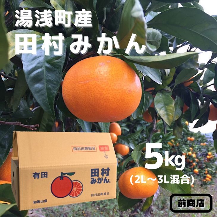 【楽天市場】【ふるさと納税】【限定】 【産地直送】 和歌山 湯浅町産 田村みかん 5kg 2L～3Lサイズ混合 【ミカン 蜜柑 柑橘 温州みかん 有田みかん 和歌山】：和歌山県湯浅町