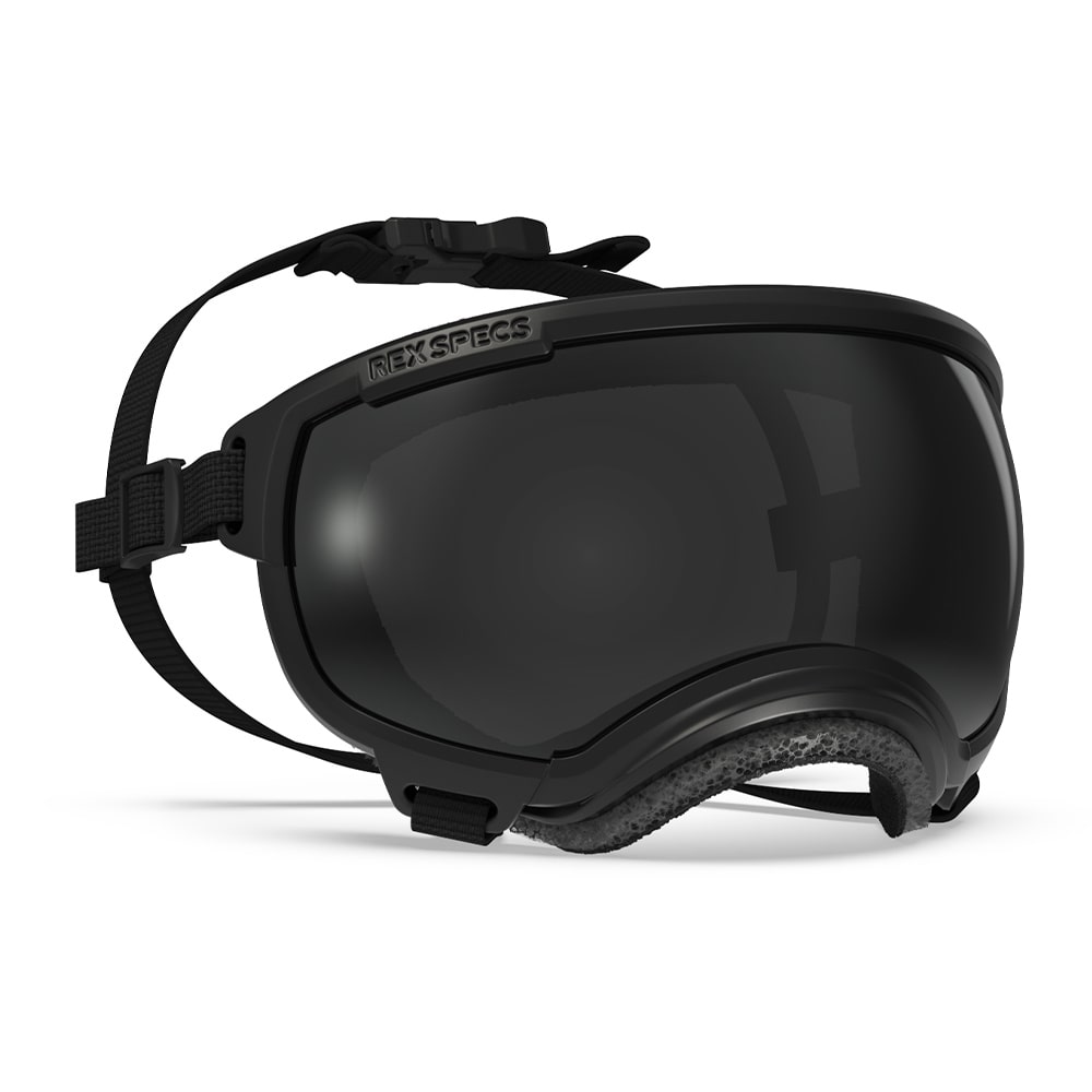 【楽天市場】REXSPECS V2 ドッグゴーグル XSサイズ：アイコンズ スーパーストア