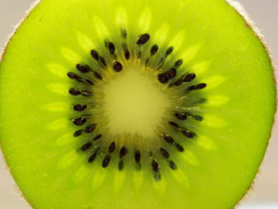 【楽天市場】国産キウイフルーツ1個、110g前後：【築地通販】おいしいなショップ