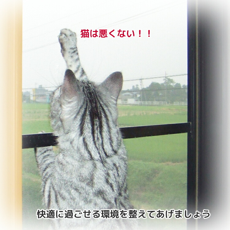 【楽天市場】網戸 ネット 防虫網 ペットフレンズネット 長さ31m巻 幅1820mm 20メッシュ相当 黒 グレー【破れない ペット 犬 猫 換気 窓 サッシ サラン 防虫ネット サランネット ...