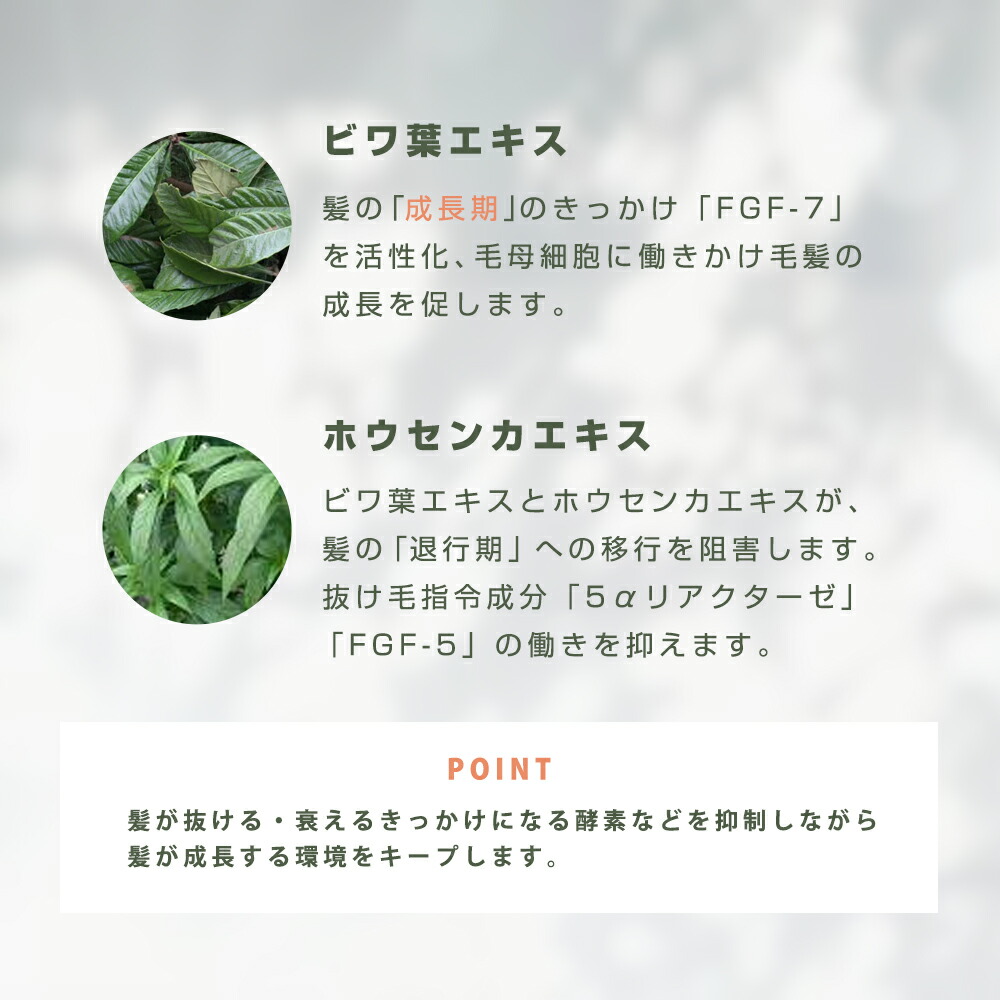 【楽天市場】【医薬部外品】GOPHA ゴーファ 薬用スカルプ シャンプー：サロン専売品 A’s style Store