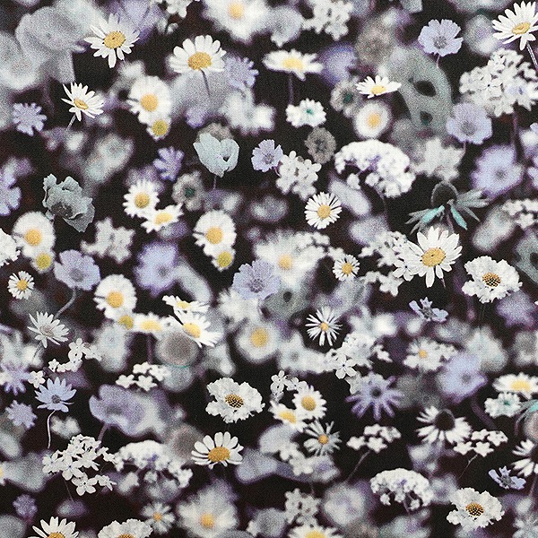 【楽天市場】リバティ・ファブリックス 生地 Brockenhurst ブロックンハースト 21-3631242-TDD-21BT 【数量× ...