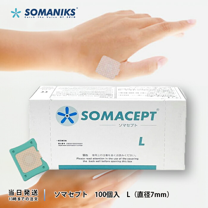 【楽天市場】ソマセプト L 7mm 100個入り SOMACEPT 緩和 マイクロコーン 血行 ツボ 灸 東洋レヂン株式会社 送料無料 ...