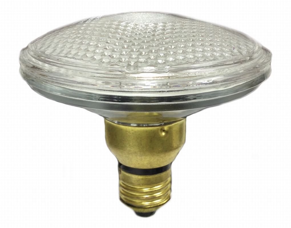 【楽天市場】National ハイビーム電球(PARタイプ) PAR110V60W・F 散光形 60W：GOODWOODS