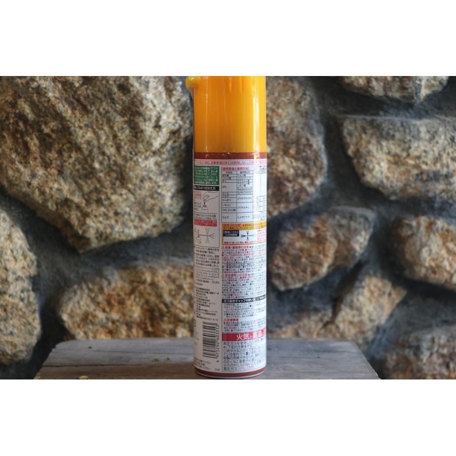 【楽天市場】キンチョールE 420ml 住友化学園芸 園芸用 殺虫剤 エアゾール：グリーンプラザ山長 楽天市場店