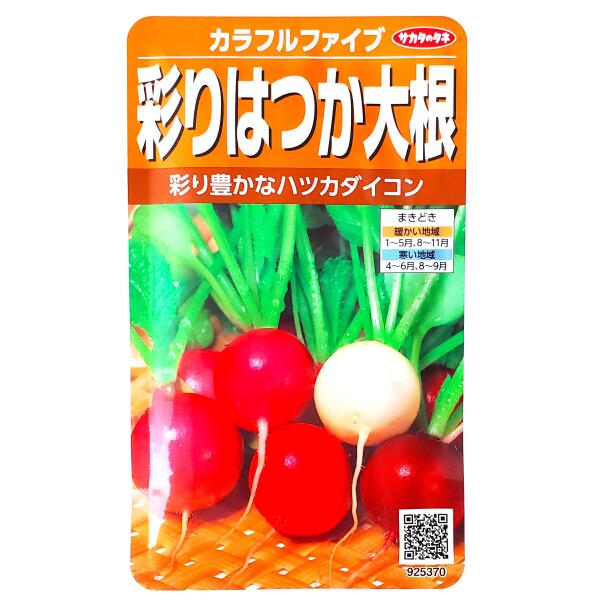 【楽天市場】【特価品：有効期限2026年5月末日】【サカタのタネ】彩りはつか大根 カラフルファイブ（6ml）【定形郵便・定形外郵便の発送のみ ...