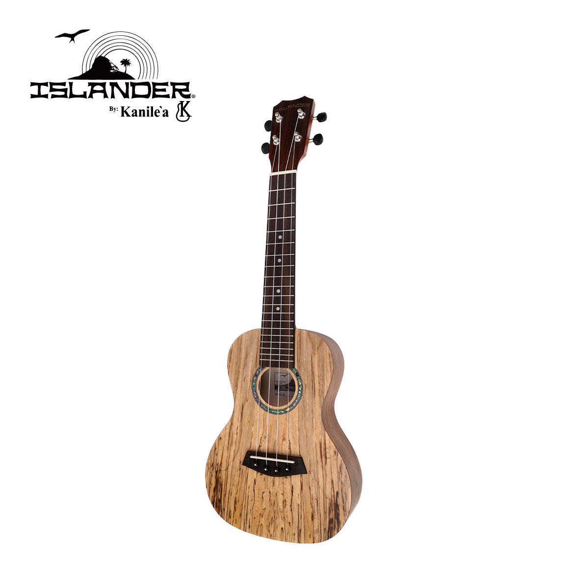 【楽天市場】ISLANDER by Kanile'a Maple Series MAC-4 新品 コンサートウクレレ[アイランダー][Concert][スポルテッドメイプル][Ukulele ...