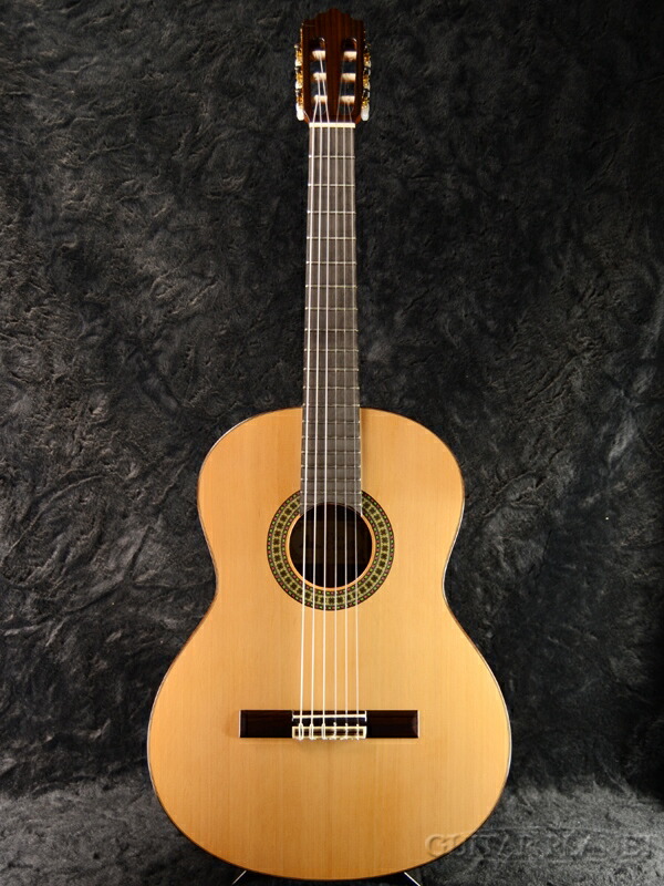 【楽天市場】Paco Castillo 204 Cedar 新品[パコ・カスティージョ][Natural,ナチュラル][Classical ...