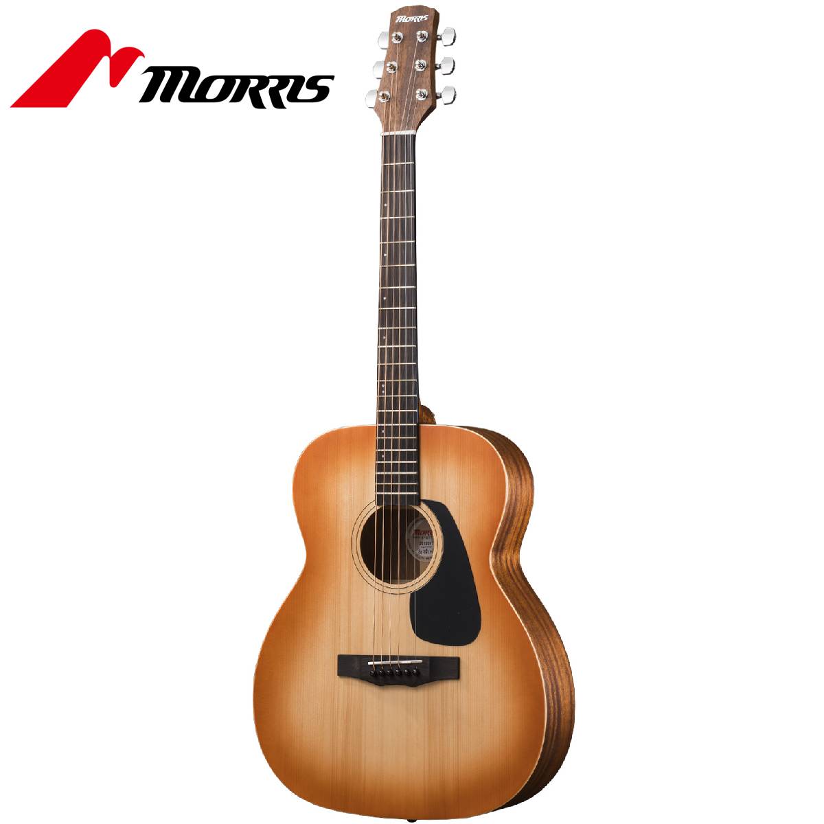 【楽天市場】Morris F-011 HS -PERFORMERS EDITION- 新品[モーリス][Acoustic Guitar,アコギ,アコースティックギター,Folk Guitar ...