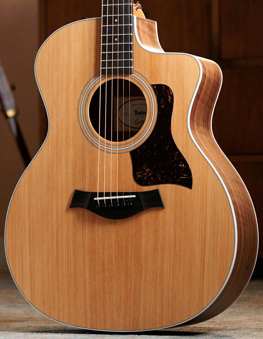 【楽天市場】Taylor 214ce C-Class Bracing w/Expressin System 2 Pickup 新品 [テイラー ...