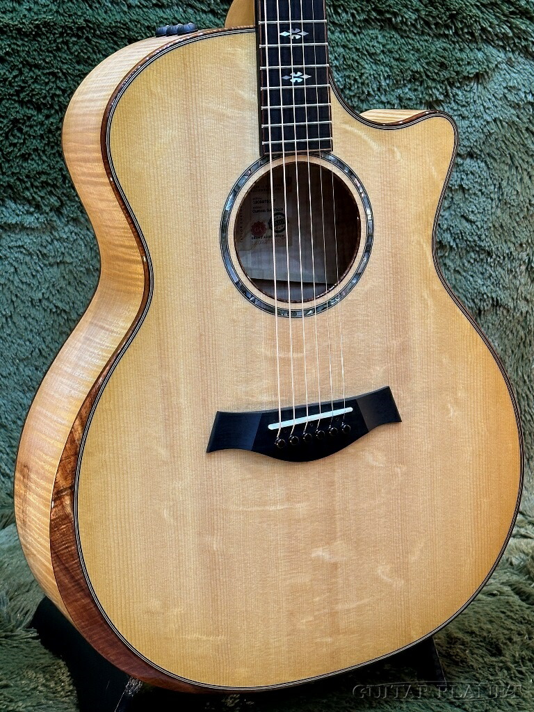 【楽天市場】【Taylor 選定品!!】Taylor Custom GA Maple -Bearclaw Spruce ...