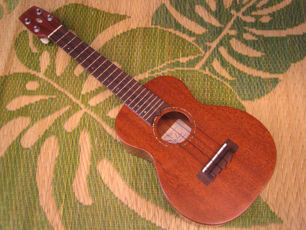 【楽天市場】Seilen SLC-102 Vm 新品 コンサートウクレレ[セイレン][国産][ヴィンテージマホガニー][Concert ...