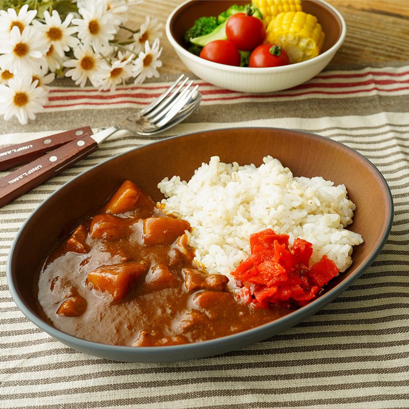 【楽天市場】isso ecco(イッソ エッコ) 木目調 オーバルプレート 25.5cm グレー ABS樹脂 // 日本製 アウトドア食器：おしゃれ食器 Primitive陶舎花＊花