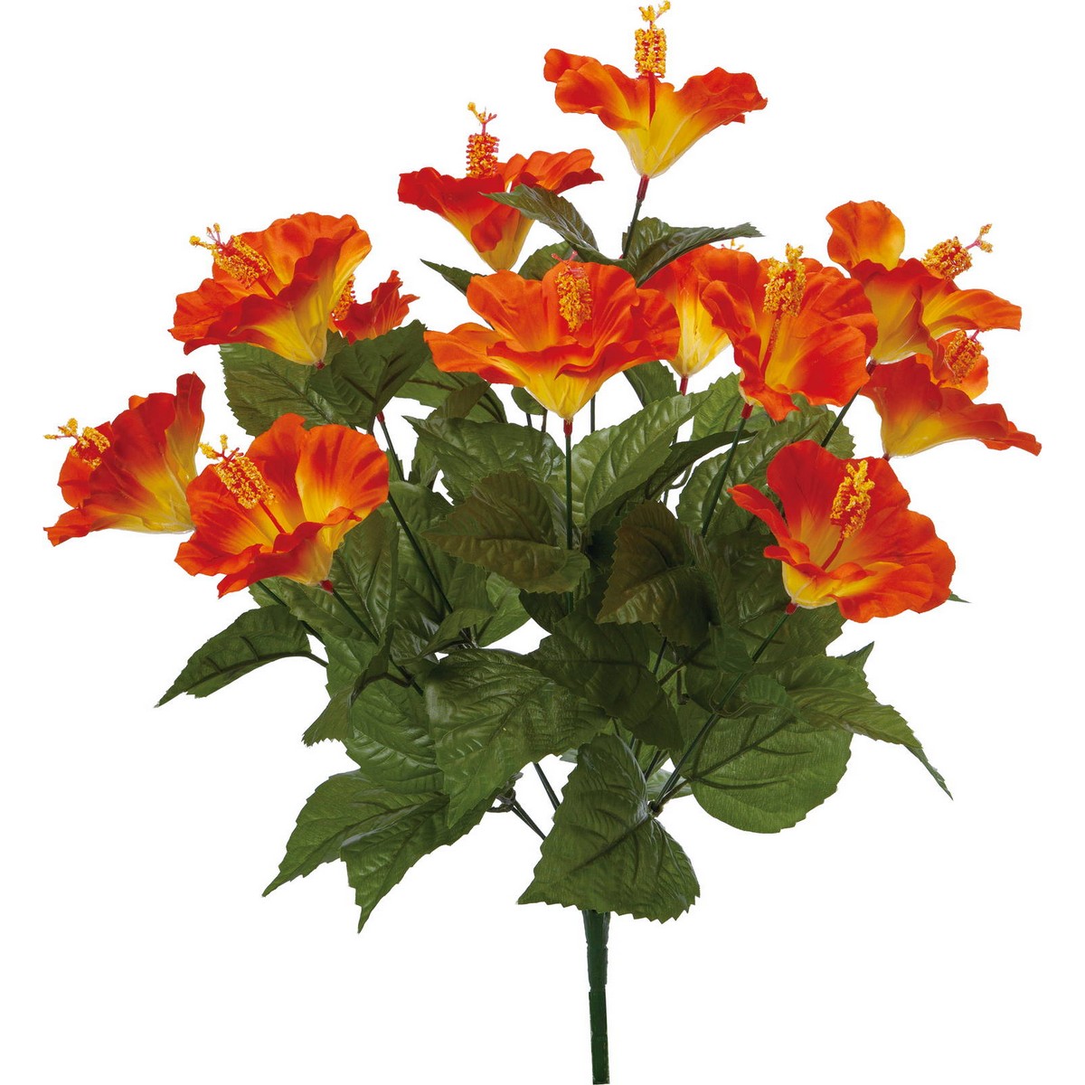 【楽天市場】【造花】YDM/ハイビスカスブッシュ オレンジ/FS-MB008-OR【01】 造花（アーティフィシャルフラワー） 造花 花材「は行」 ハイビスカス：花材通販はなどんやアソシエ
