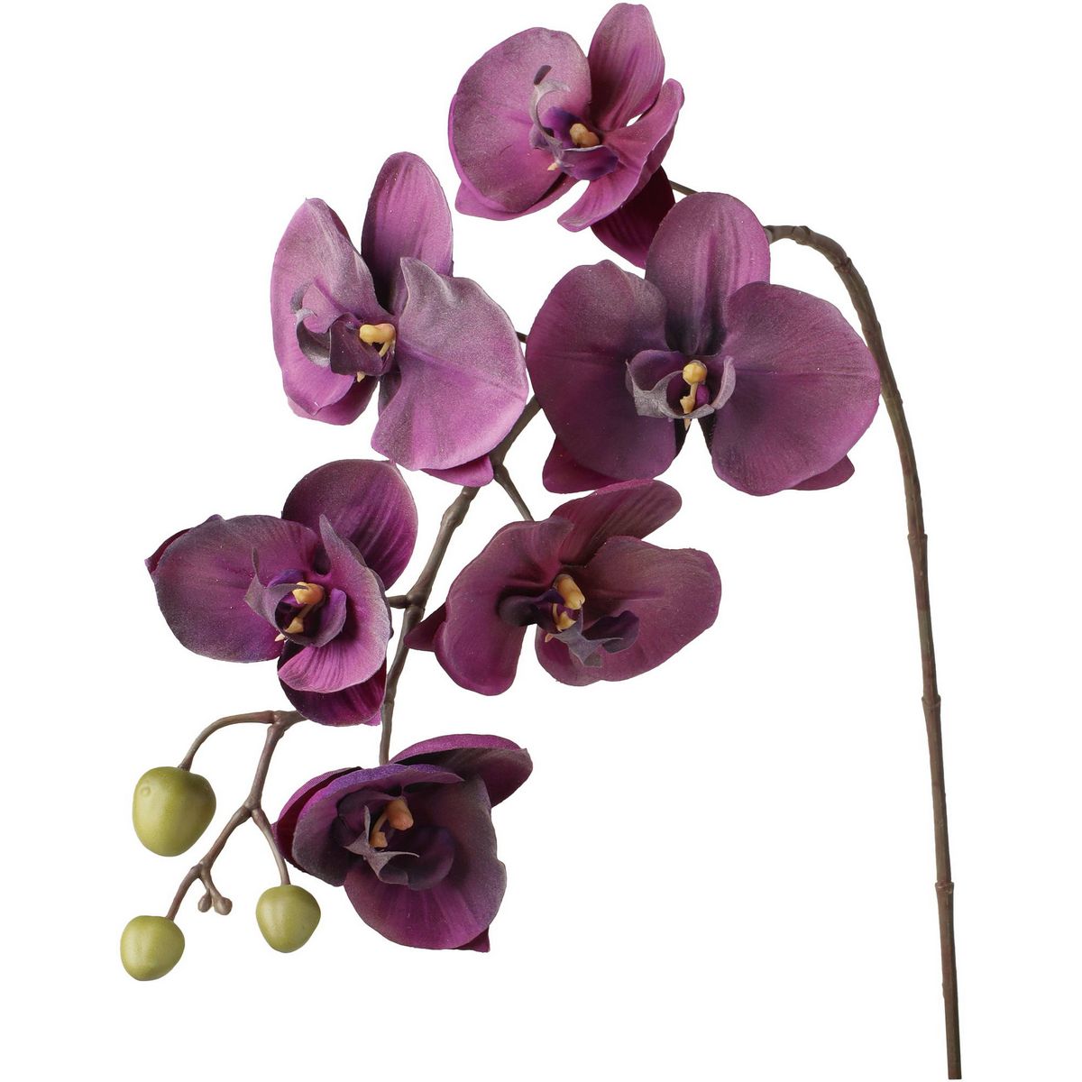 【楽天市場】【造花】YDM/クンコウコチョウラン パープル/FA-7392-PU【01】【取寄】 造花（アーティフィシャルフラワー） 造花 ...