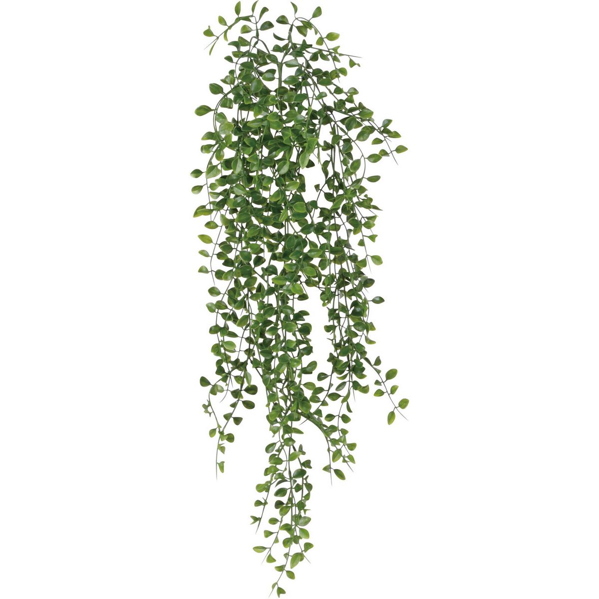 【楽天市場】【造花】YDM/ブラックローカッスト/GL-5362KK【01】 造花（アーティフィシャルフラワー） 造花葉物、フェイクグリーン その他の造花葉物・フェイクグリーン：花材通販はな ...