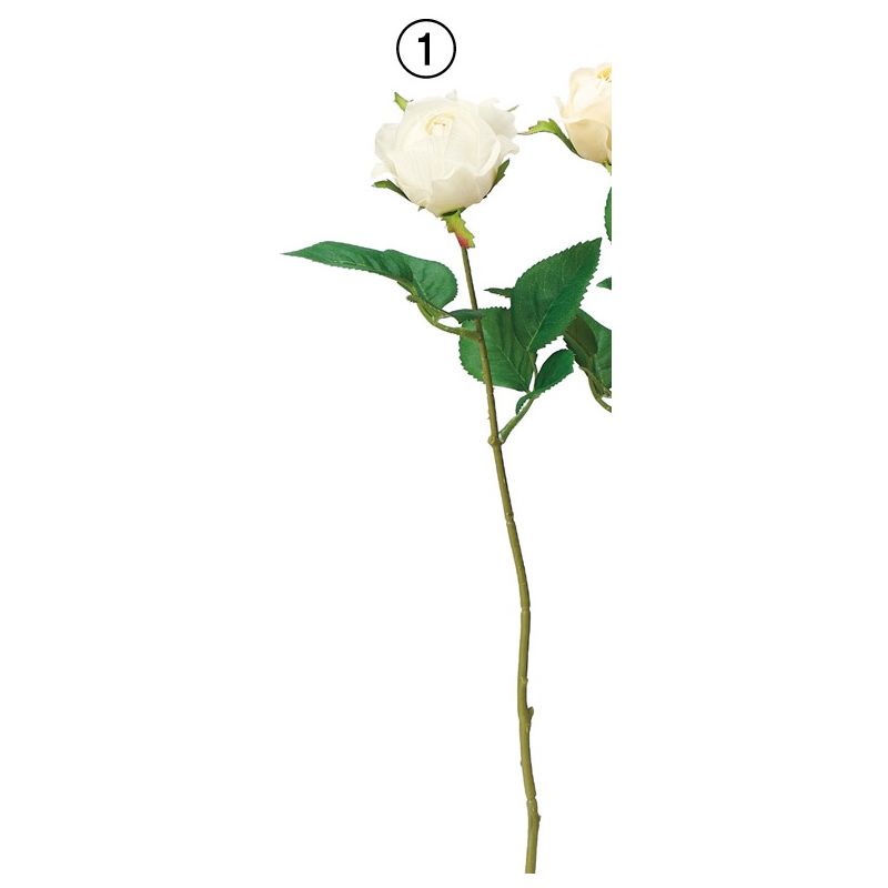 【楽天市場】【造花】アスカ/ローズ ホワイト/A-34841-1【01】 造花（アーティフィシャルフラワー） 造花 花材「は行」 バラ：花材 ...
