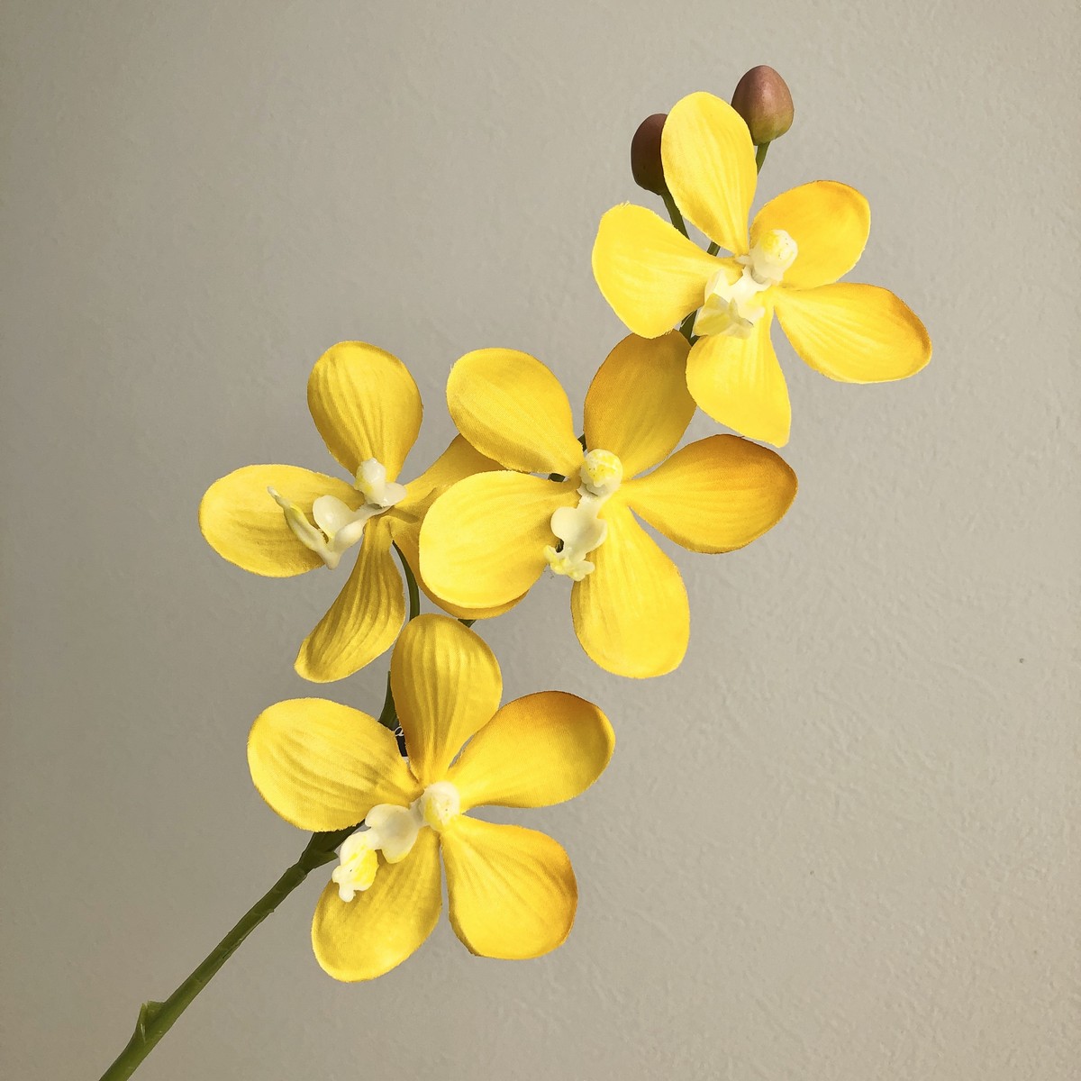 【楽天市場】【造花】アスカ/モカラ×4 つぼみ×2 イエロー/A-34618-10【01】 造花（アーティフィシャルフラワー） 造花 花材「ら行」 ラン（蘭）・オーキッド：花材通販はなどんやアソシエ