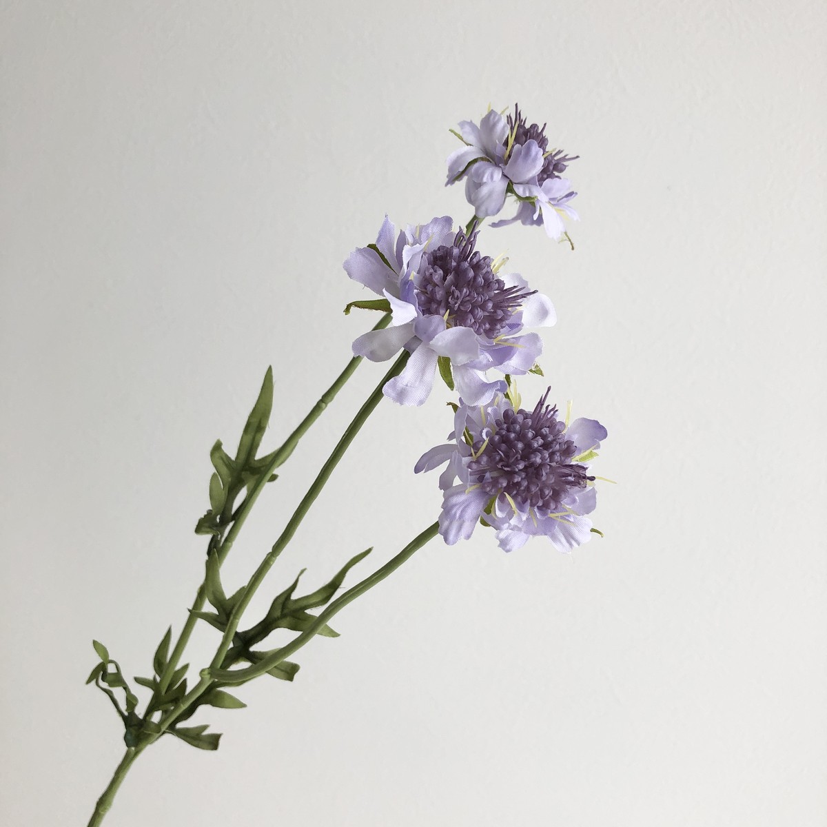 【楽天市場】【造花】アスカ/スカビオサ×3 ライトラベンダー/A-34492-16【01】 造花（アーティフィシャルフラワー） 造花 花材 ...