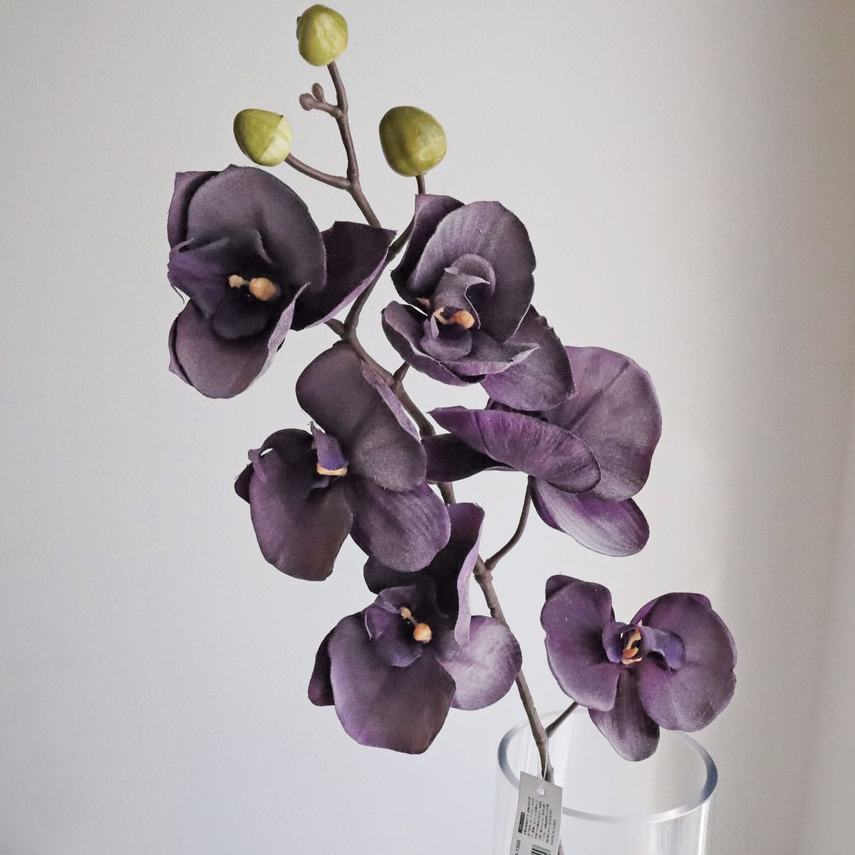 【楽天市場】【造花】YDM/クンコウコチョウラン パープル/FA-7392-PU【01】 造花（アーティフィシャルフラワー） 造花 花材「か行 ...