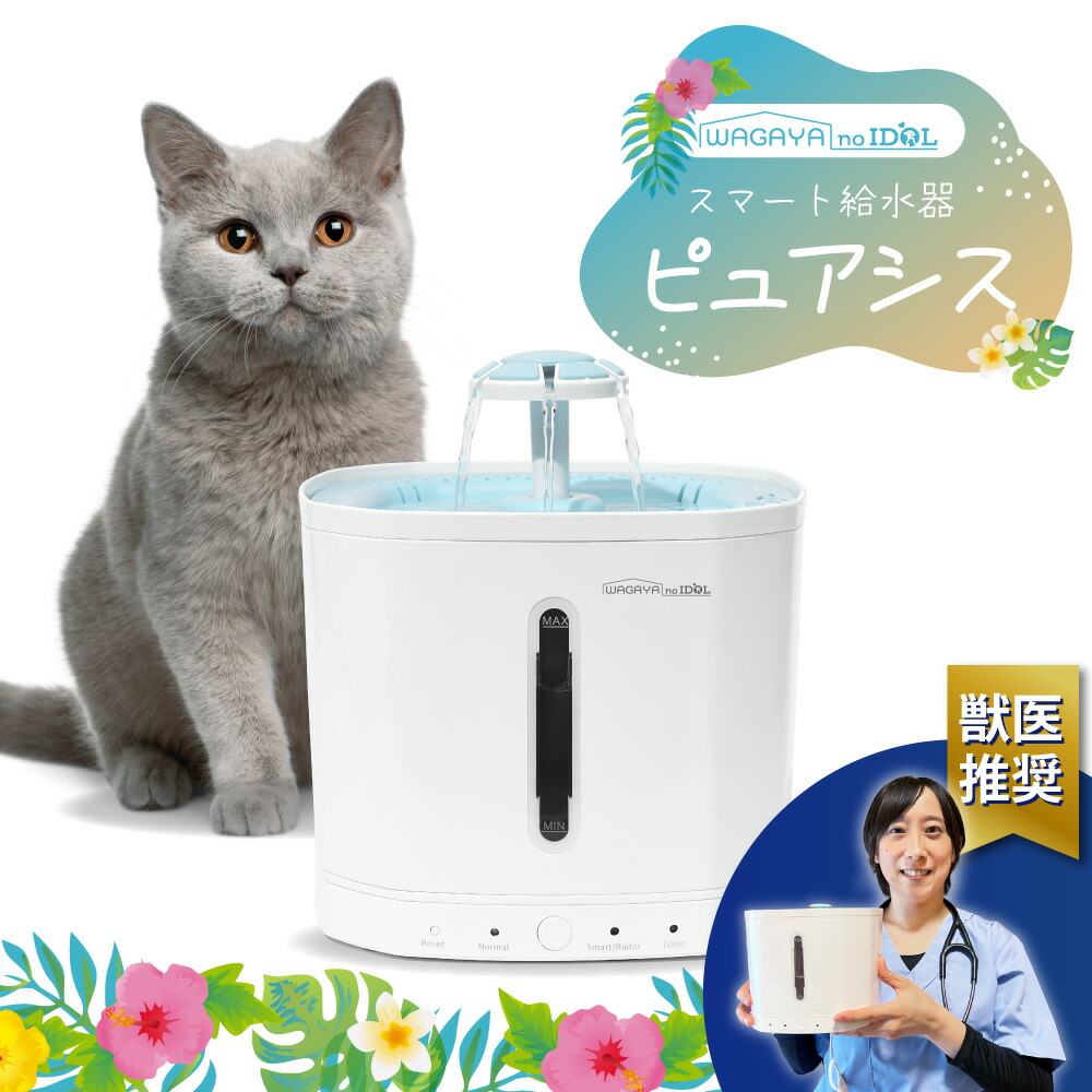 【楽天市場】【レビュー1000円OFF】獣医師推奨 ピュアシス 犬 猫 自動給水器 ペット 自動 給水器 水飲み器 水飲み 自動水やり器 自動 ...