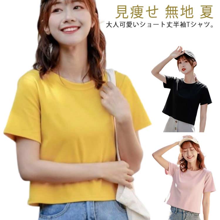 【楽天市場】レディース 半袖 カットソー トップス クロップド丈tシャツ 半袖tシャツ ショート丈 丸首 ラウンドネック Tシャツ おしゃれ：hayashop