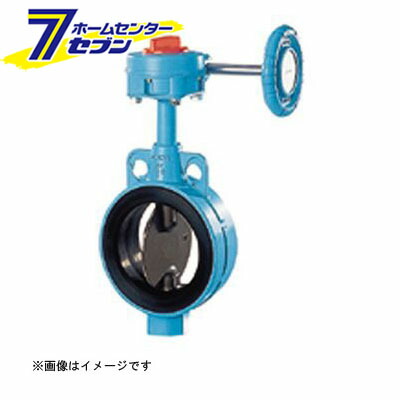 【楽天市場】OKM 602A-G-SCS13 ギア式バタ弁（本体ADC12・弁体SCS13・シートEPDM） 80A （602A-G-SCS13_80A） [ オーケーエム]：ホームセンターセブン