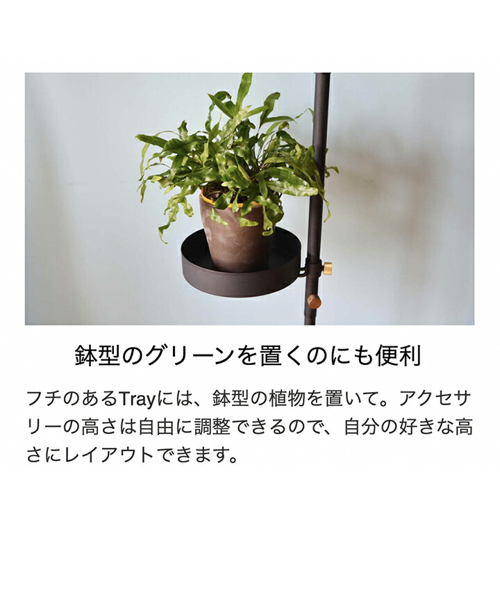 【公式】DRAW A LINE ドローアライン モリモリツリー SET ブラック 200~275cm 縦専用 SET-BASE2-BK 突っ張り棒 セット 観葉植物 室内用 プランター 植木鉢 ...