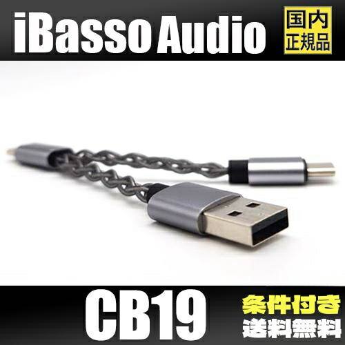 【楽天市場】iBasso Audio CB19 アイバッソ オーディオ セパレートパワーOTGケーブル USB Type-C to Type ...