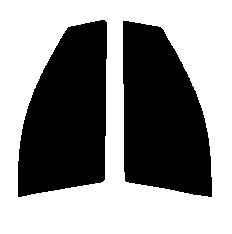 【楽天市場】Braintec ML91(PURE) ピュア ゴーストML91 運転席・助手席 IST イスト NCP60・NCP61・NCP65カット済みカーフィルム UVカット 99 ...