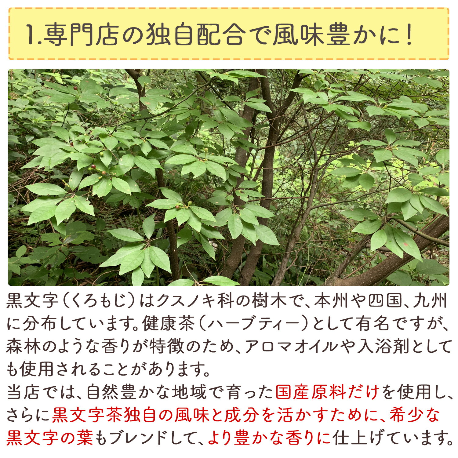 【楽天市場】 国産 くろもじ茶 3g x 30p x 2袋（ 180g ティーバッグ ）クロモジ茶 黒文字茶 ほんぢ園 ＜ P20 ハーブティー 健康茶 無香料 無添加 無着色 送料無料 ノン ...