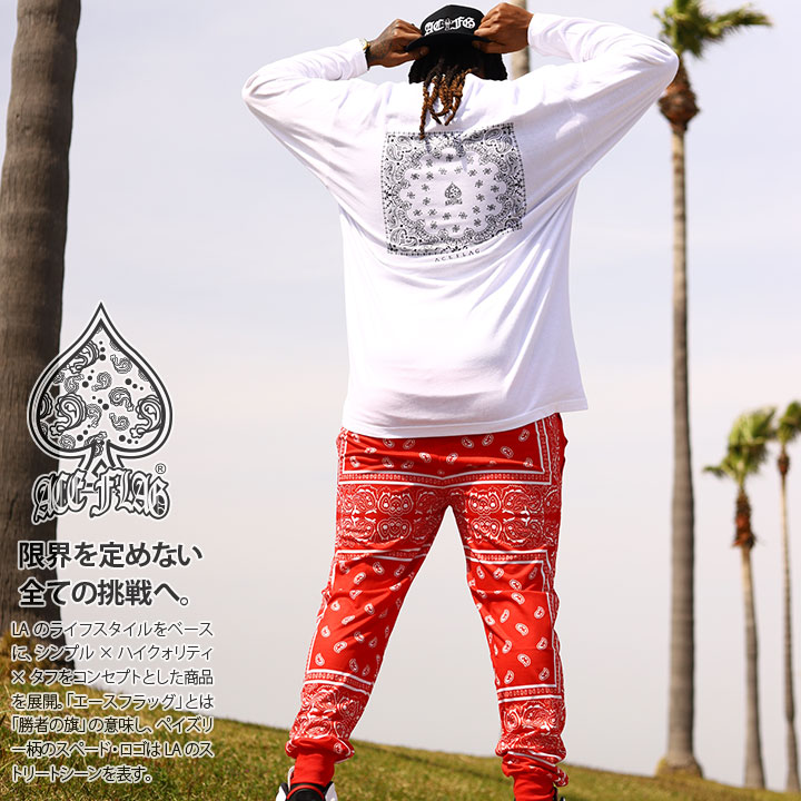 【楽天市場】ACE FLAG 上下セット 長袖 ブランド Tシャツ ロンT ロングパンツ メンズ 春秋冬用 白 黒 大きいサイズ エースフラッグ セットアップ ジャージ トラックパンツ ...
