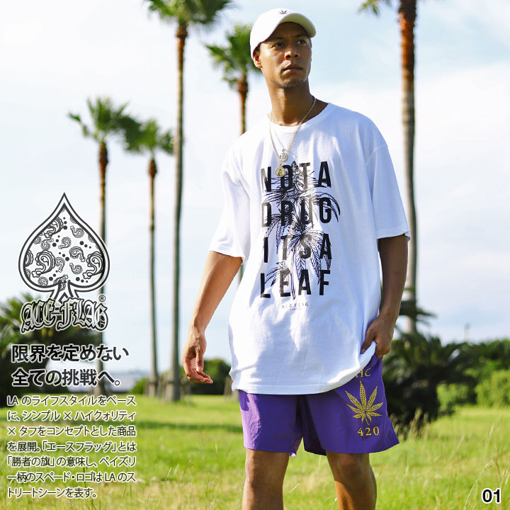 【楽天市場】ACE FLAG 上下セット 半袖 ブランド Tシャツ ハーフパンツ メンズ 全6種 エースフラッグ セットアップ ナイロン ビッグシルエット 大麻 マリファナ ヘンプ b系 ...