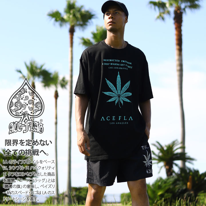 【楽天市場】ACE FLAG 上下セット 半袖 ブランド Tシャツ ハーフパンツ 上下 メンズ 春夏用 黒 大きいサイズ エースフラッグ セットアップ ビッグシルエット b系 ヒップホップ ...