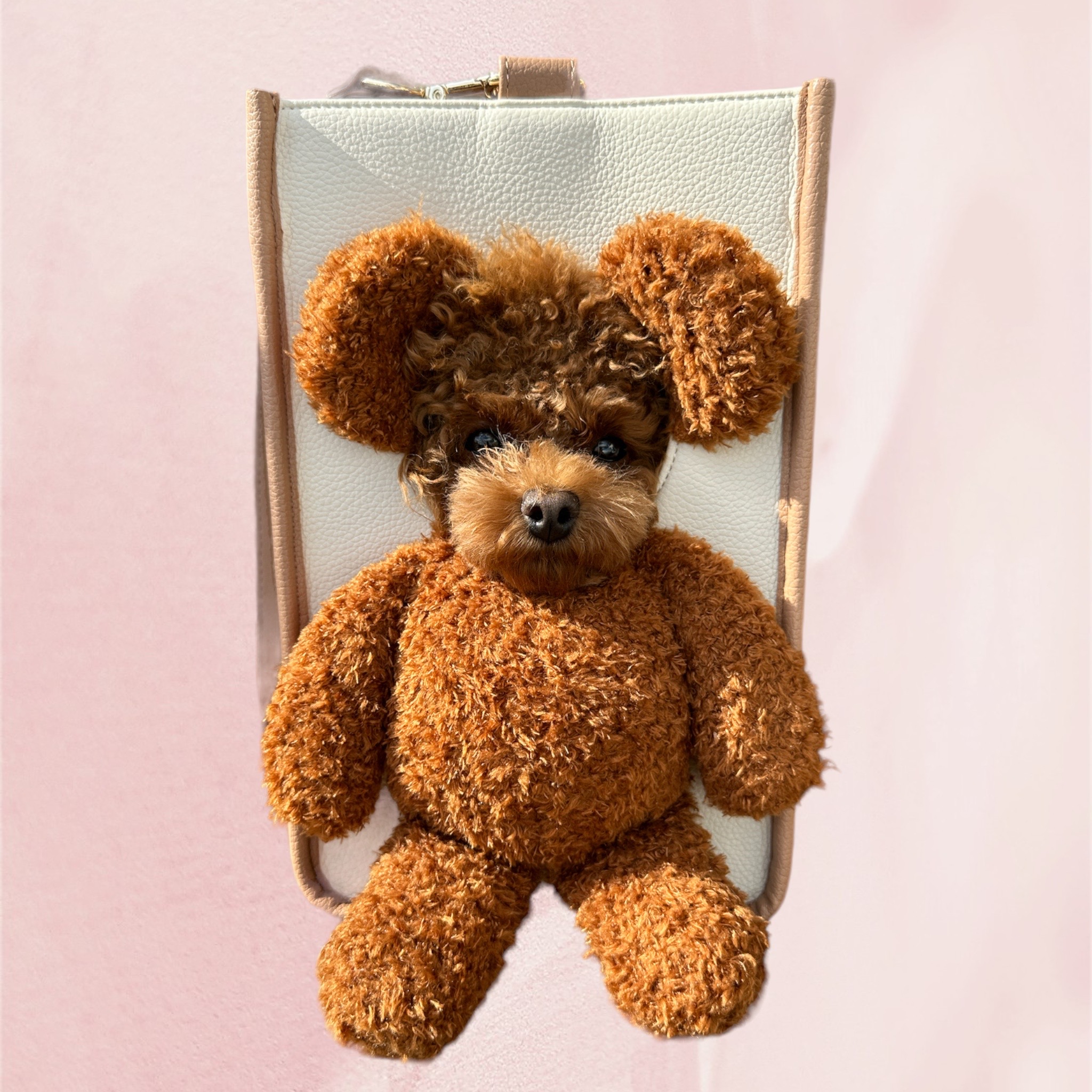 【大人気】顔出しぬいぐるみキャリーバッグ（BEAR） ペットキャリーバッグ 犬用 猫用 小型犬 かわいい 人気 ペット用 オシャレ 愛犬 セレブ